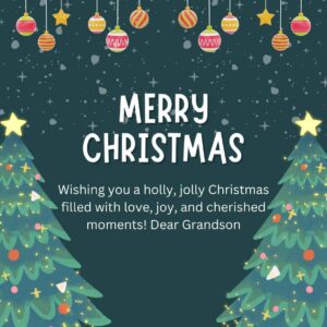 100 Best Merry Christmas Wishes for Grandson 2025 - Quotes Square